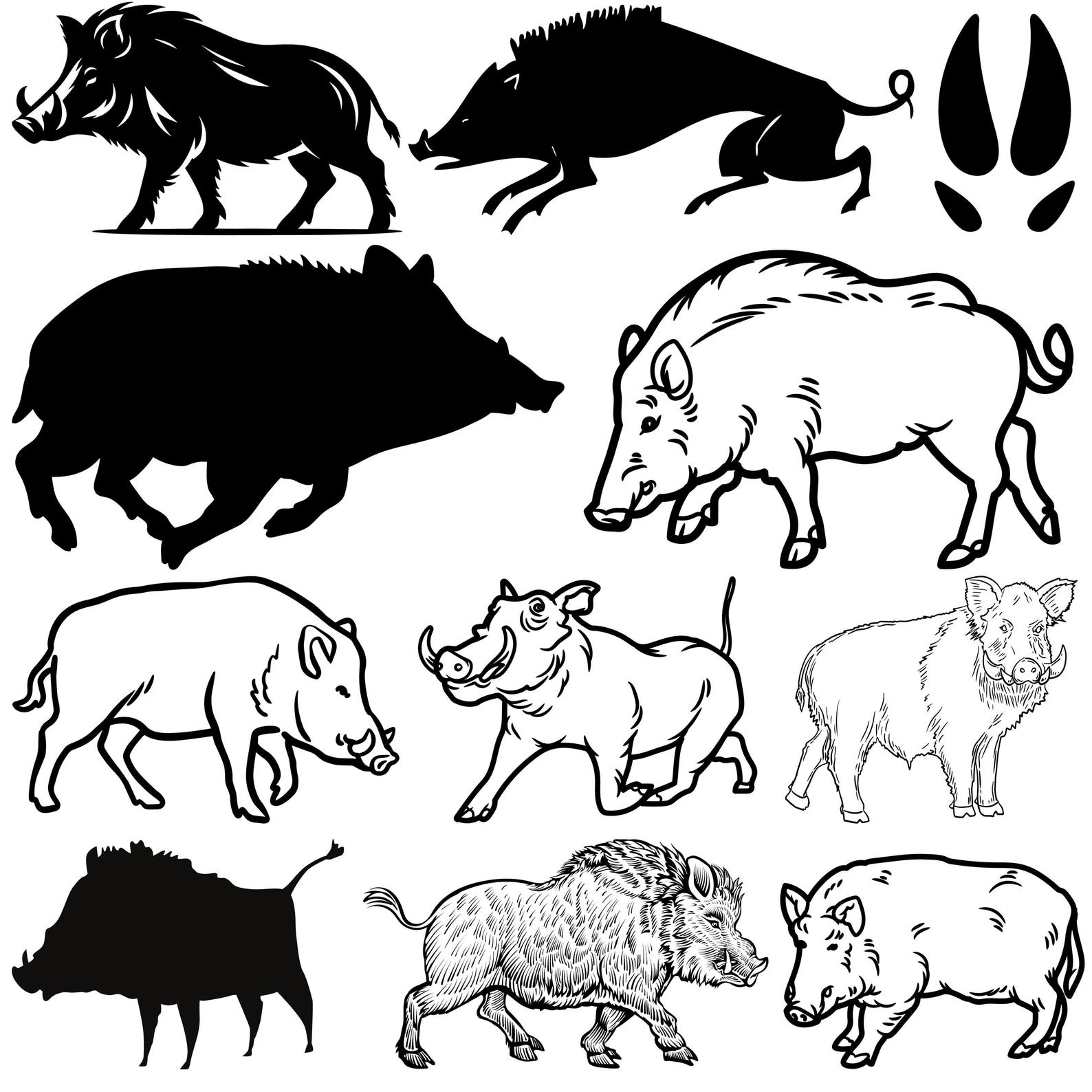 Boar SVG, Boar Head Cricut, Wild Boar Svg, Hunting Svg, Razorback Svg ...
