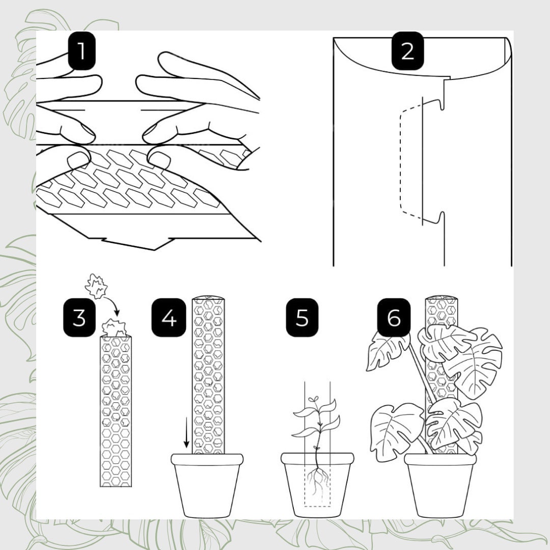 TEMPLATE Moss Pole D Shaped Stackable for Climbing Plants Like Monstera ...