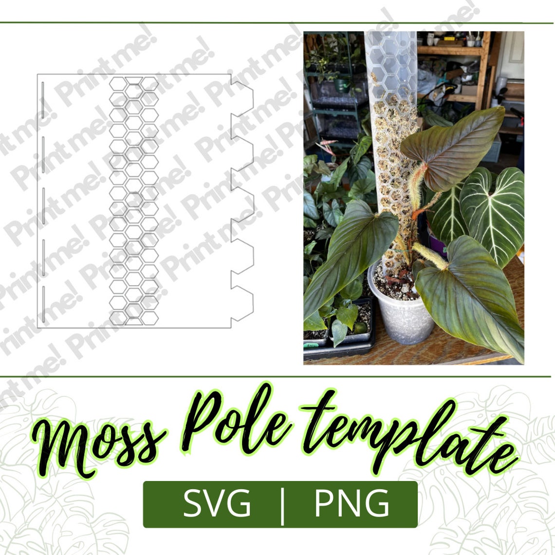 TEMPLATE Moss Pole D Shaped Stackable for Climbing Plants Like Monstera ...
