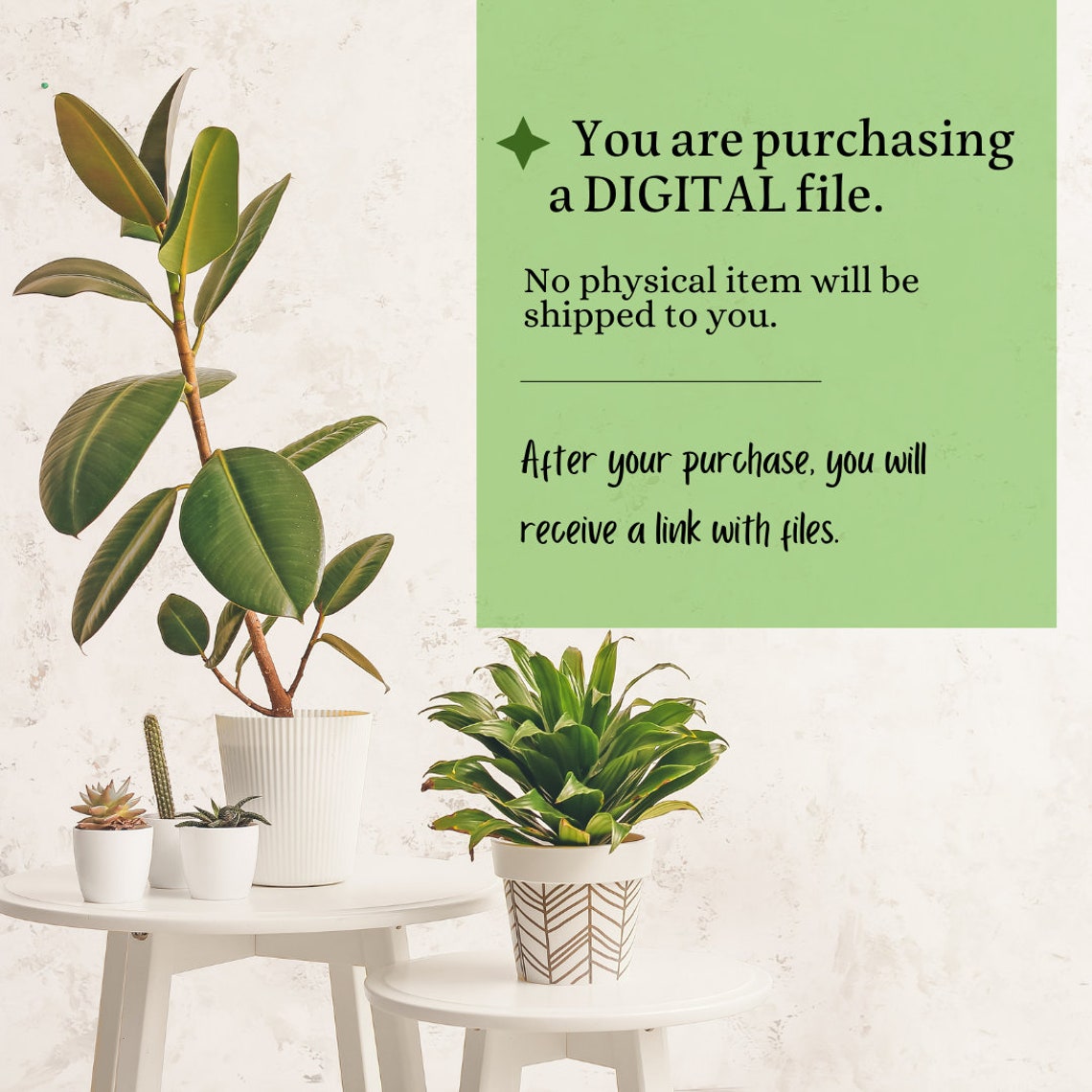 TEMPLATE Moss Pole D Shaped Stackable for Climbing Plants Like Monstera ...