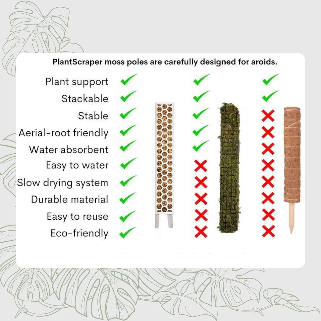 TEMPLATE Moss Pole D Shaped Stackable for Climbing Plants Like Monstera ...