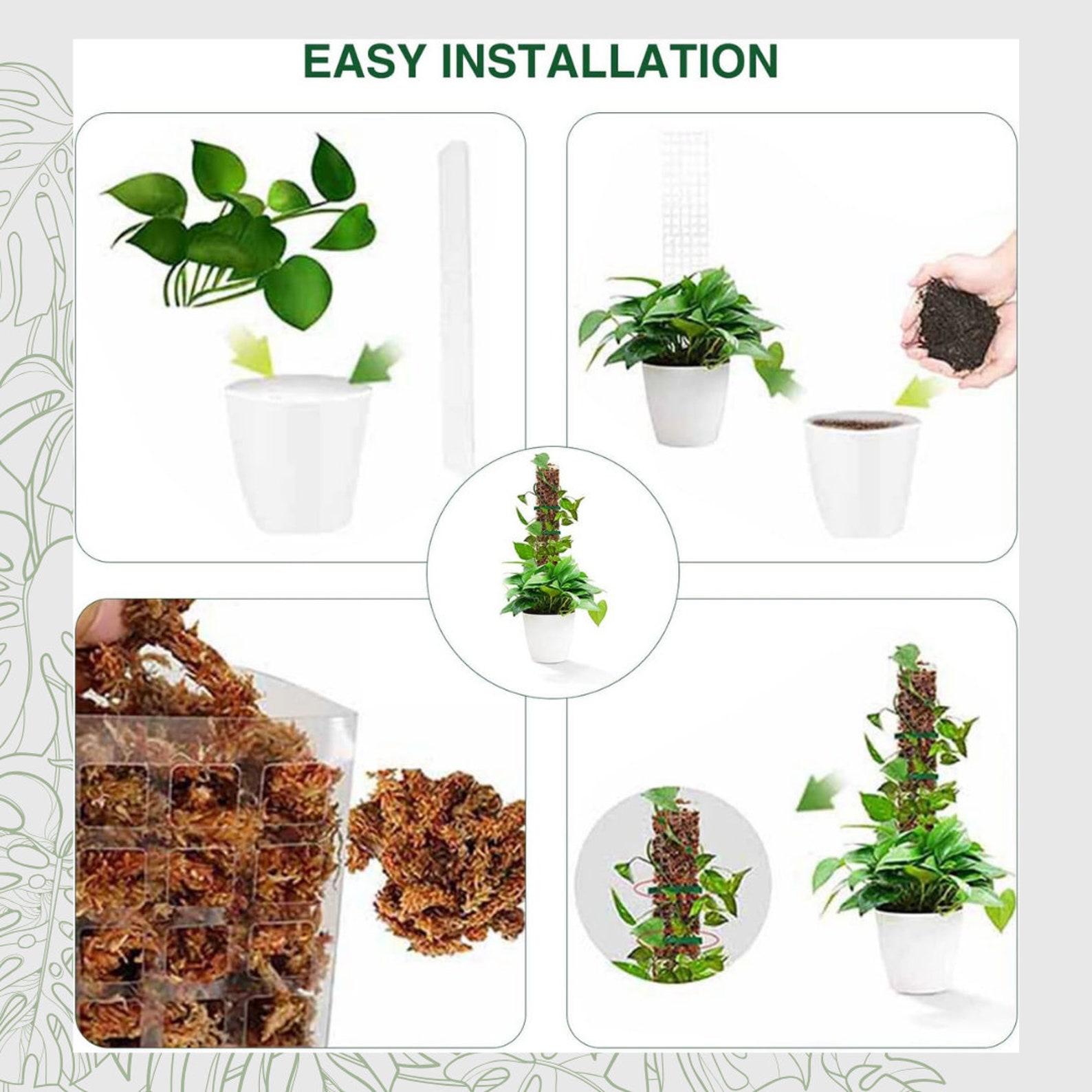 TEMPLATE Moss Pole D Shaped Stackable for Climbing Plants Like Monstera ...