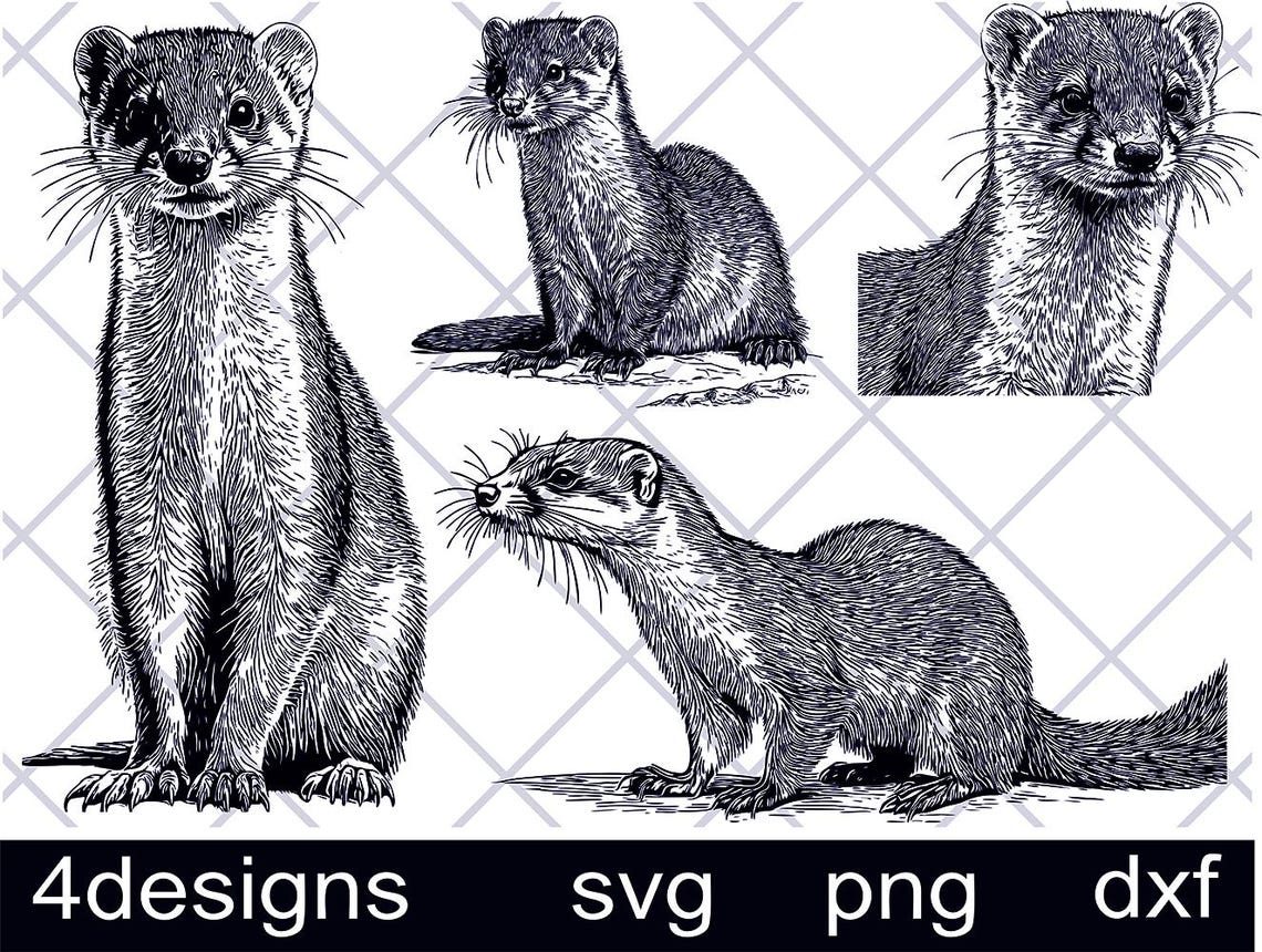 Weasel Vector Illustration, Instant Download, Png, Svg, Dxf, Laser Cut ...