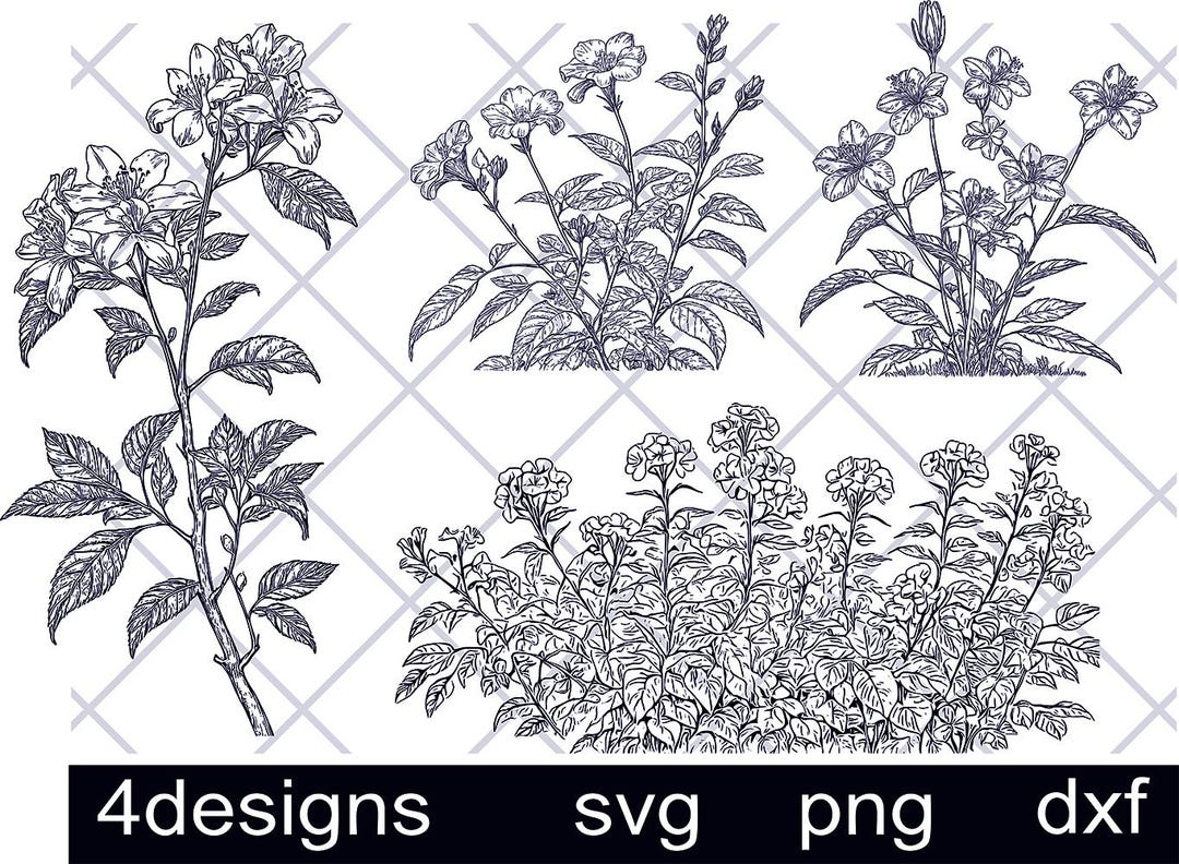 Campsis Bush Vector Illustration, Instant Download, Png, Svg, Dxf ...