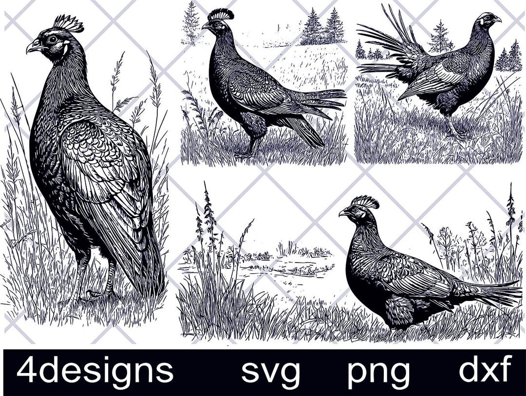 Black Grouse Vector Illustration, Instant Download, Png, Svg, Dxf ...
