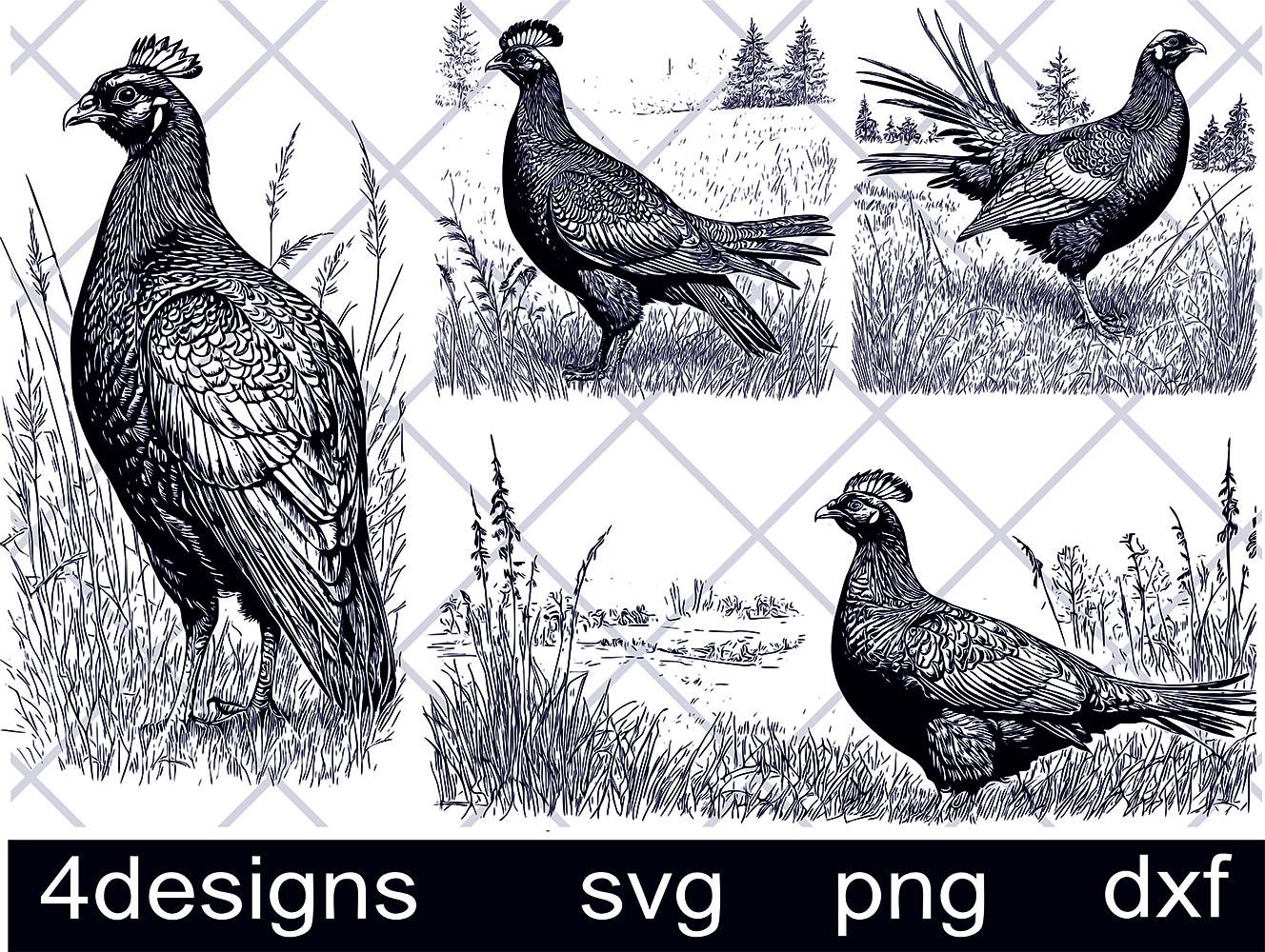 Black Grouse Vector Illustration, Instant Download, Png, Svg, Dxf ...