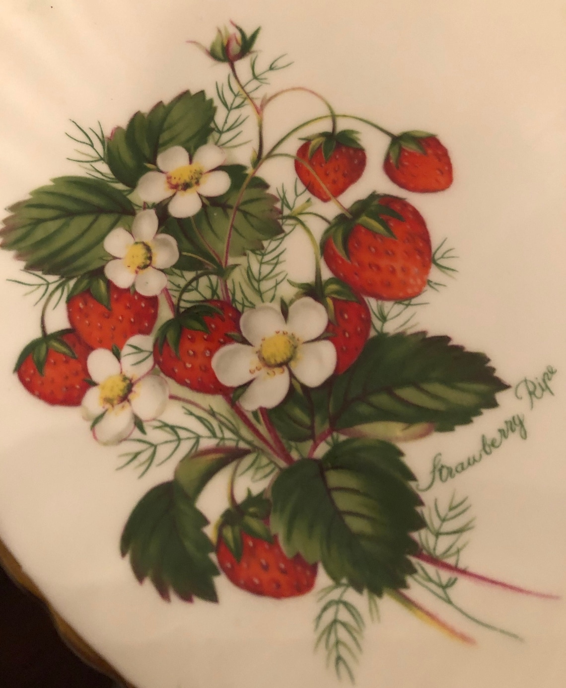Vintage Ridgeway Potteries Royal Adderley Strawberry Ripe Snack Plates ...
