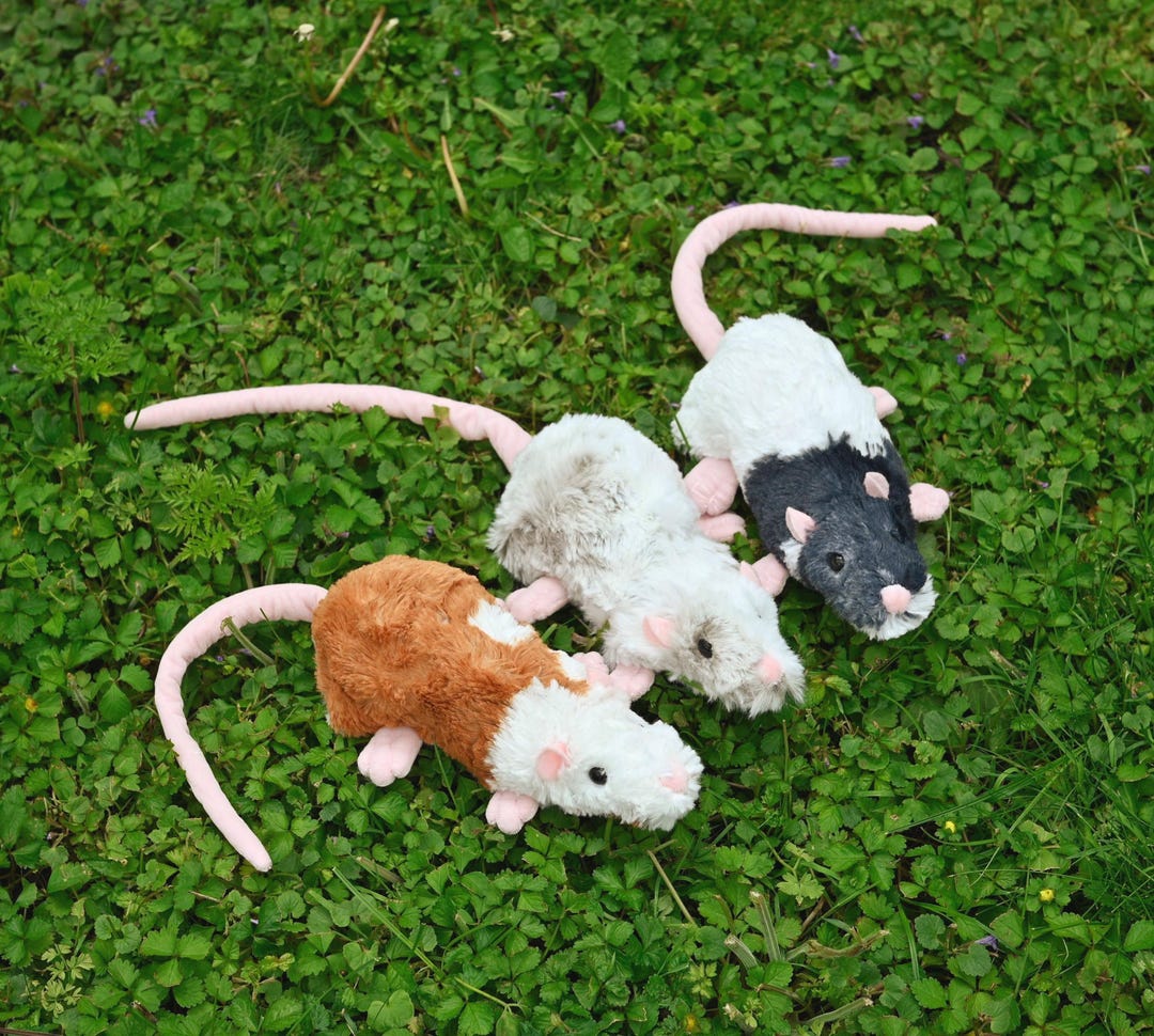MADE-TO-ORDER Rat Plushie | Handmade Sewn Plushie - Etsy