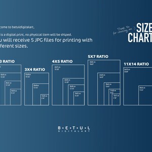 Jaws Digital Movie Poster Peter Benchley Films Print Digital Movie ...