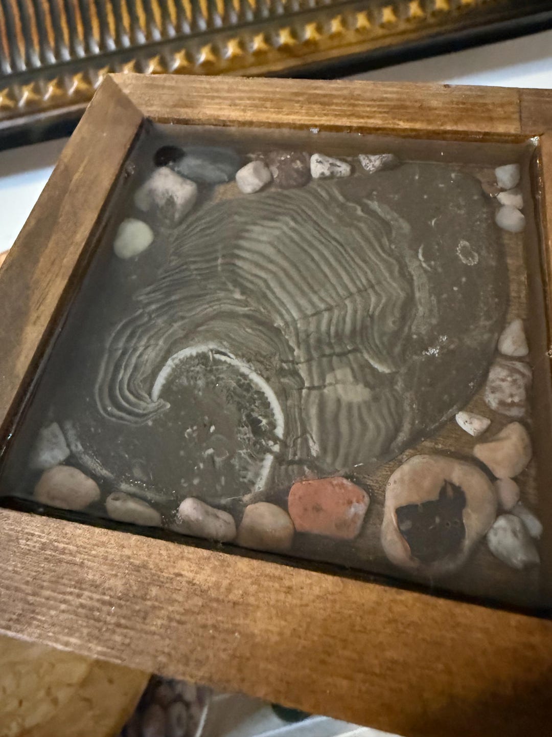 Michigan Fossil Stromatoporoid and Beach Stone Resin Coasters - Etsy