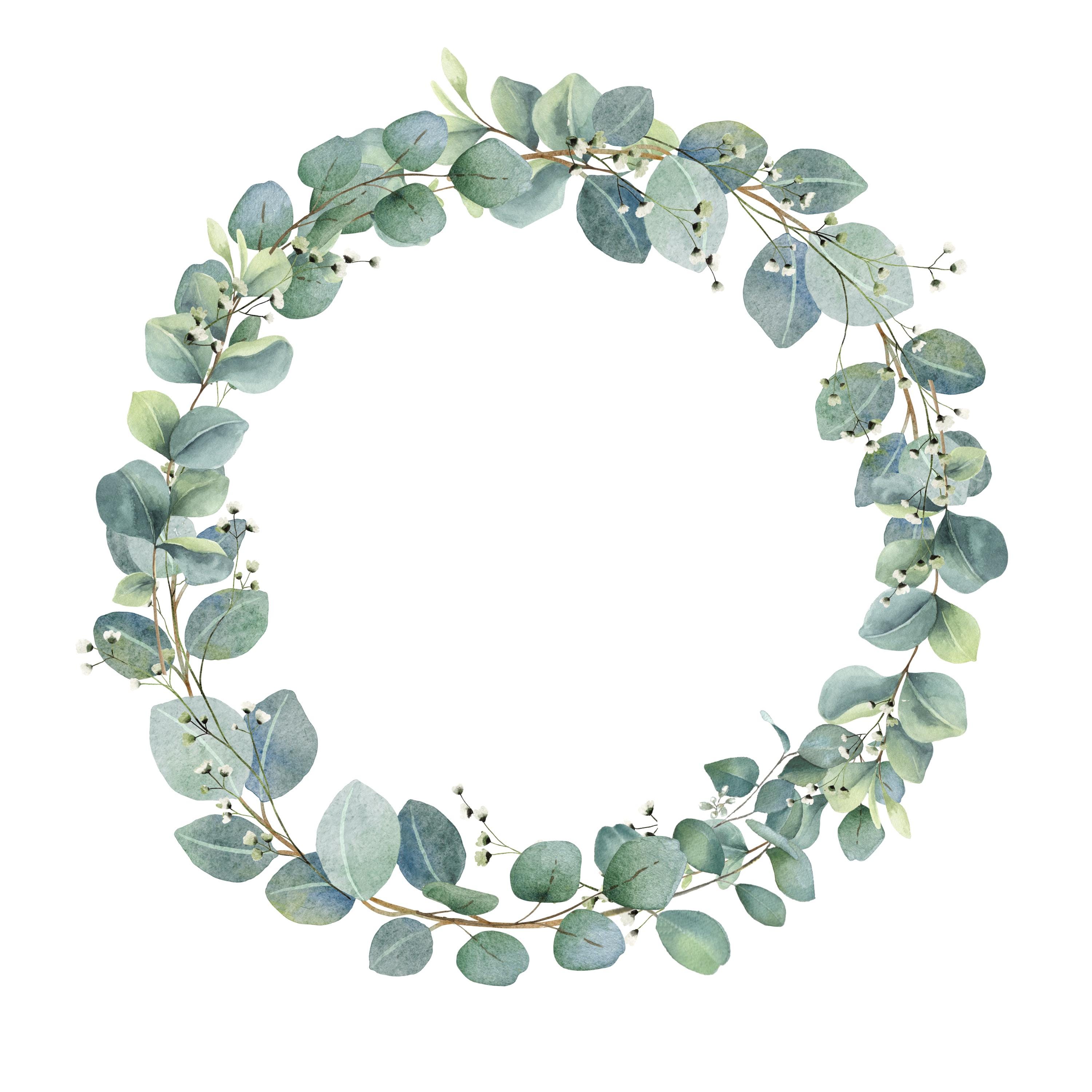Eucalyptus Wreath Clipart, Green Leaves Border PNG, Greenery Watercolor ...