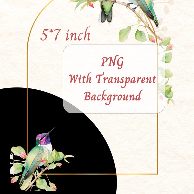 Watercolor Hummingbirds Clipart, Wild Birds Geometric Frames, Exotic ...