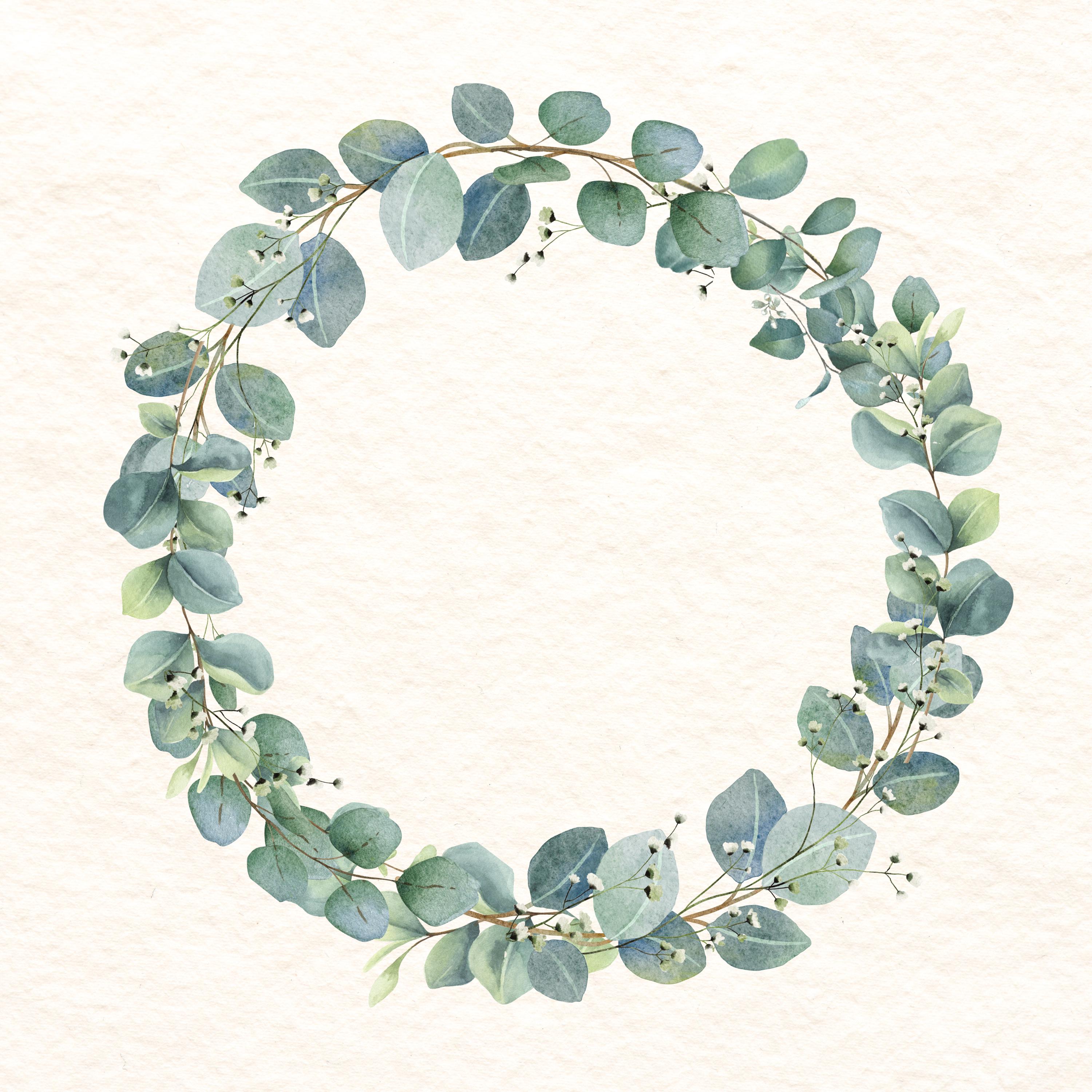 Eucalyptus Wreath Clipart, Green Leaves Border PNG, Greenery Watercolor ...