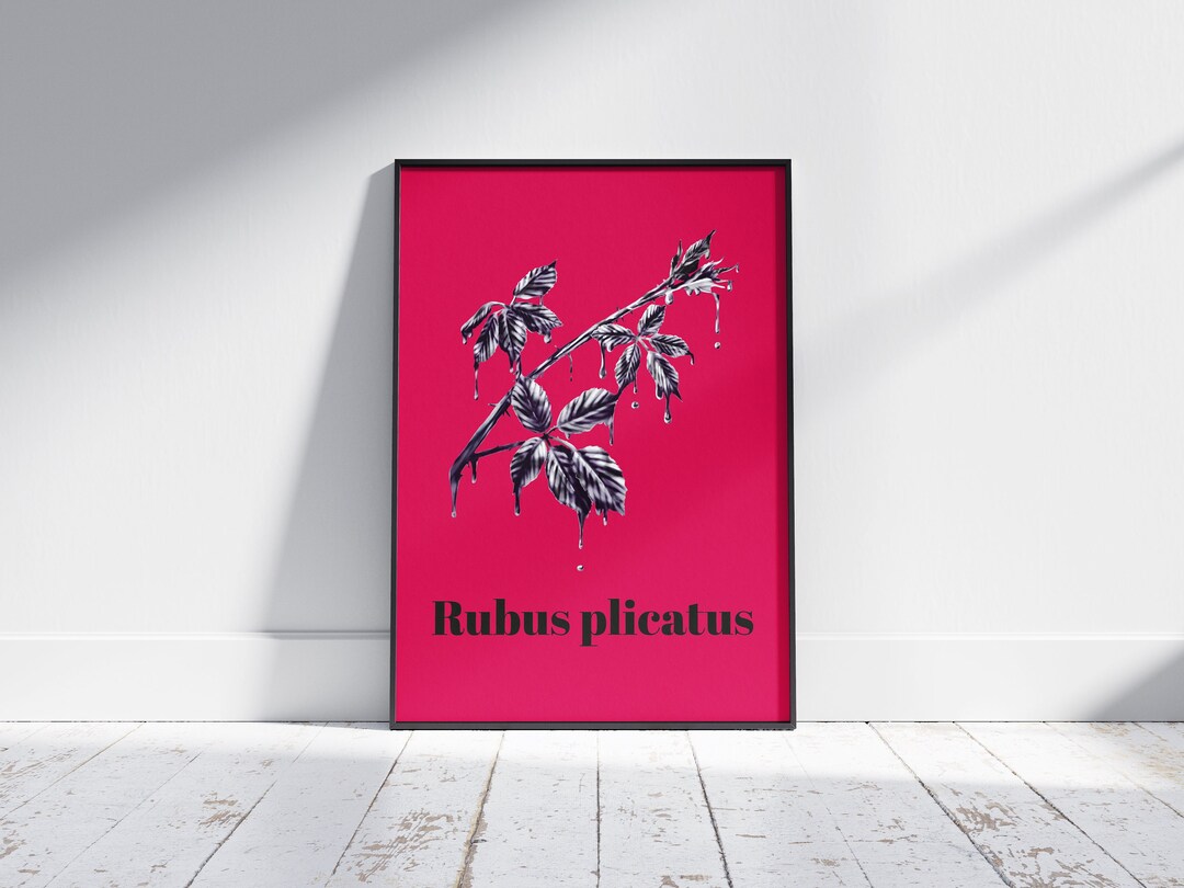 Plant Print 2 Backgrounds to Choose From, Sky Blue OR Barbie Pink A5 A4 ...