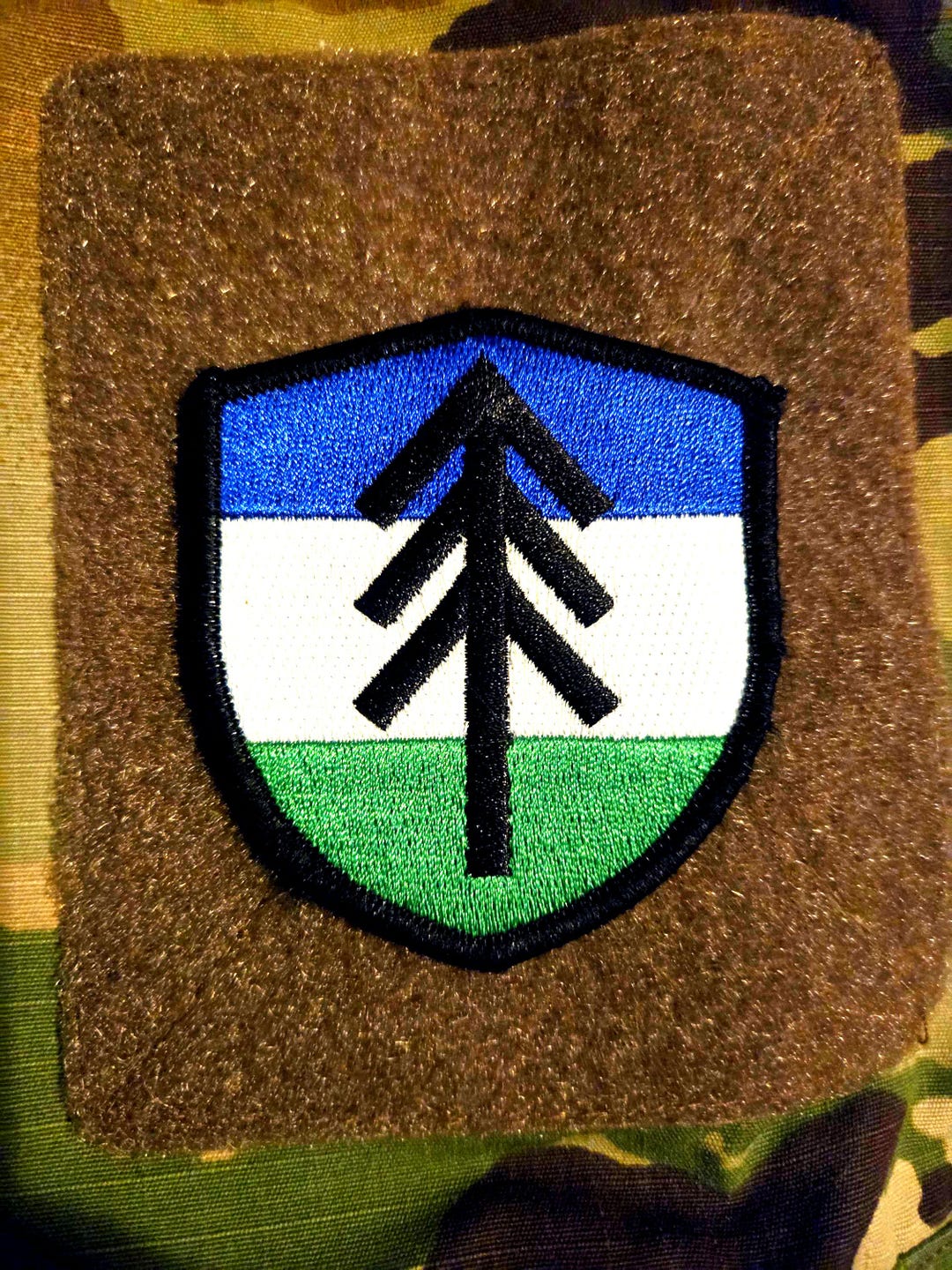Cascadia Shield Patch - Etsy