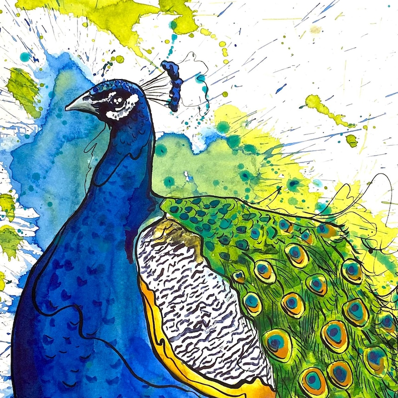 Watercolor Peacock Painting - Etsy