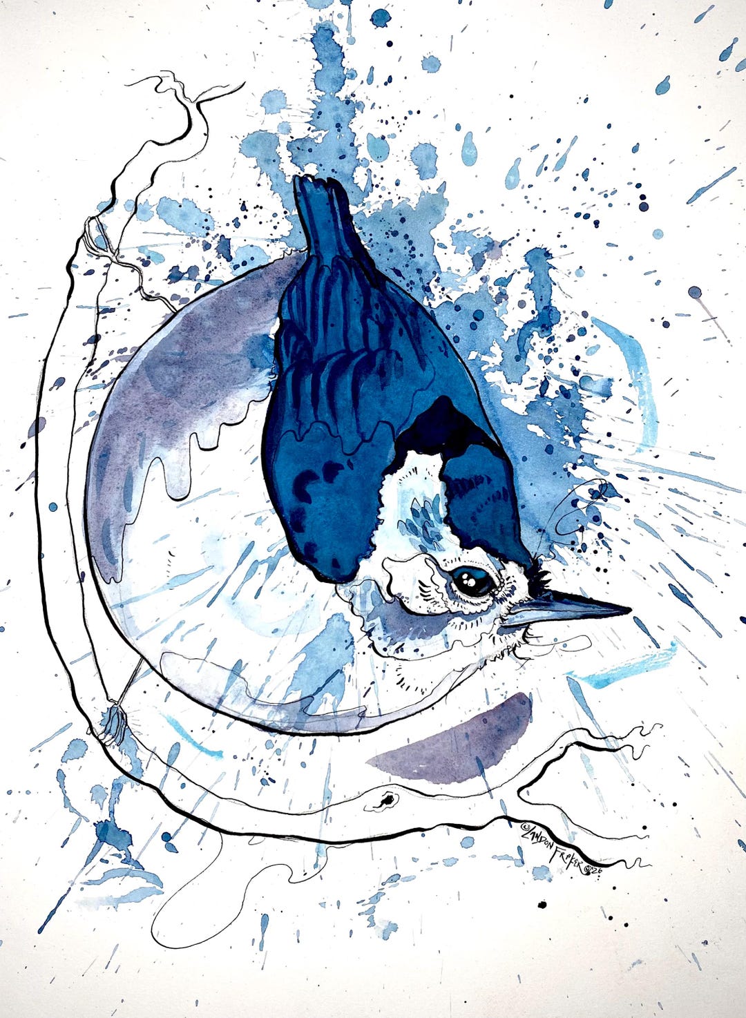 Fat White Breasted Nuthatch Print - Watercolor and Ink Painting - “fat ...