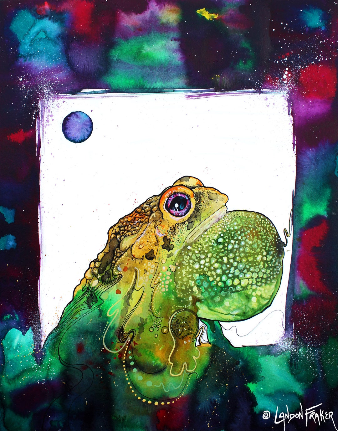 Colorful Toad Art - Fine Art Print - Wildlife Art - Surreal Artwork ...