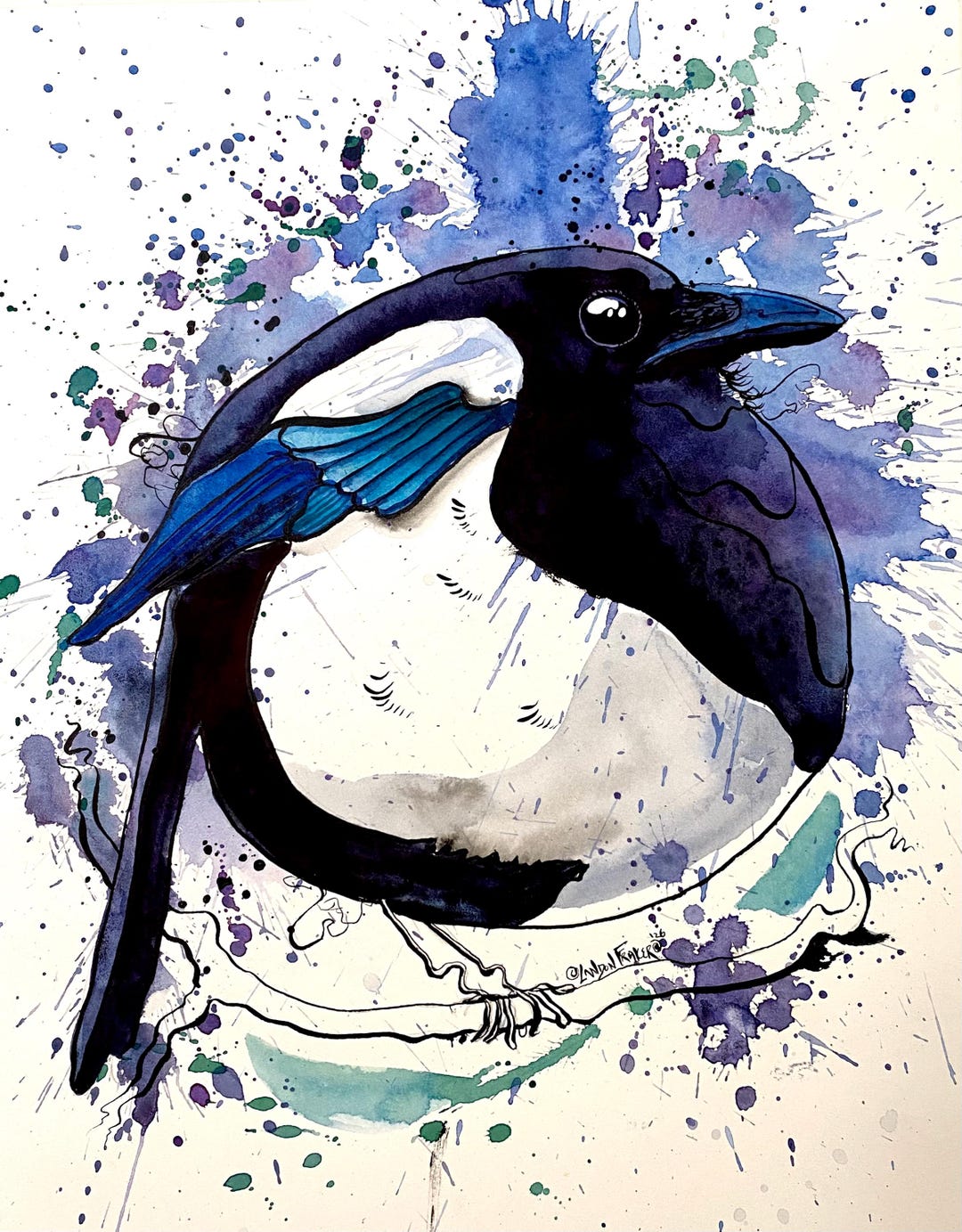 Fat Magpie Print – Watercolor and Ink Bird Art by Landon Fraker - Etsy
