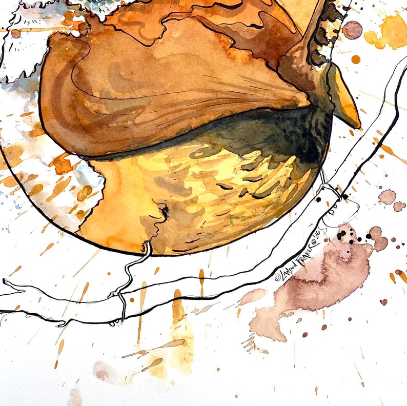 Fat Carolina Wren Print - Watercolor and Ink Painting - “fat Bird ...