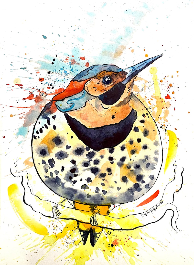 Fat Northern Flicker Print - Watercolor and Ink Painting - “fat Bird ...
