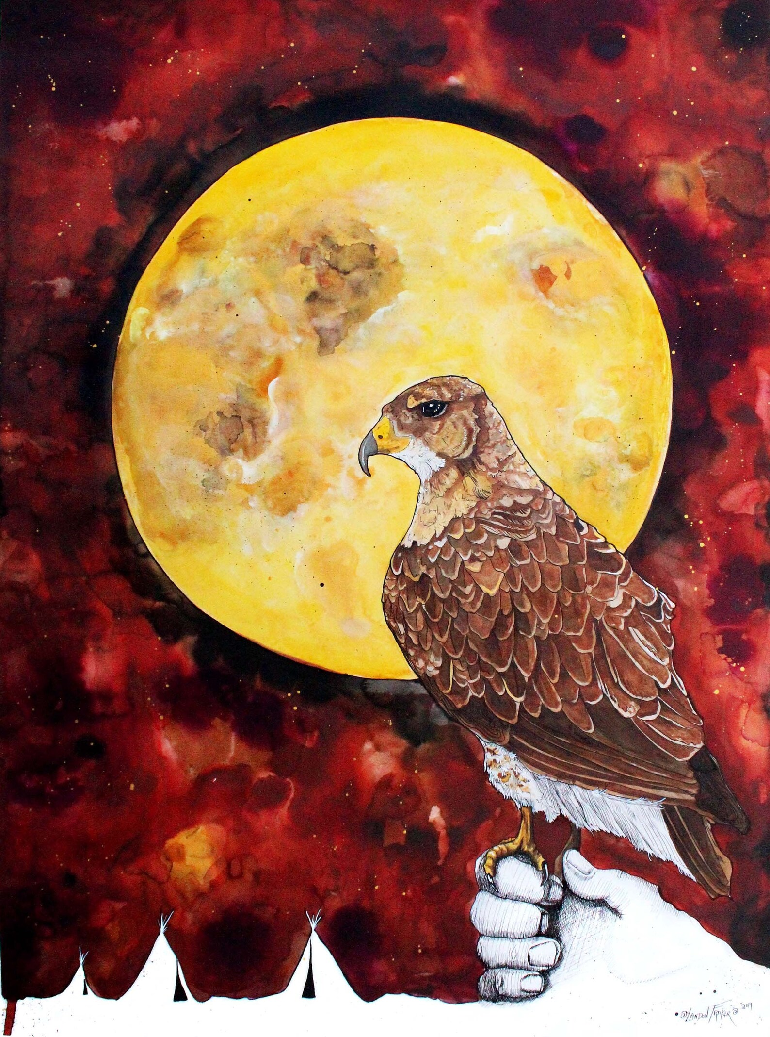 FALCON With Full MOON, 5x7, 8.5x11, 13x19, Fine Art Prints, Falconry ...