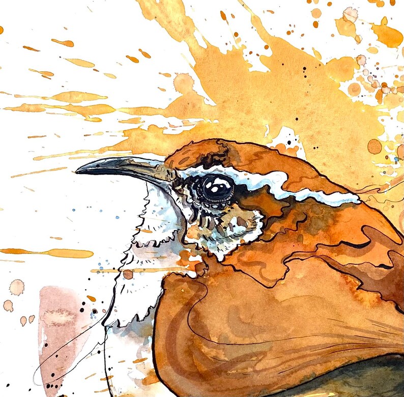 Fat Carolina Wren Print - Watercolor and Ink Painting - “fat Bird ...