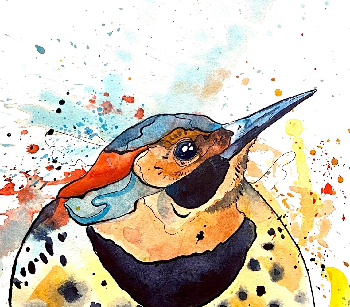 Fat Northern Flicker Print - Watercolor and Ink Painting - “fat Bird ...