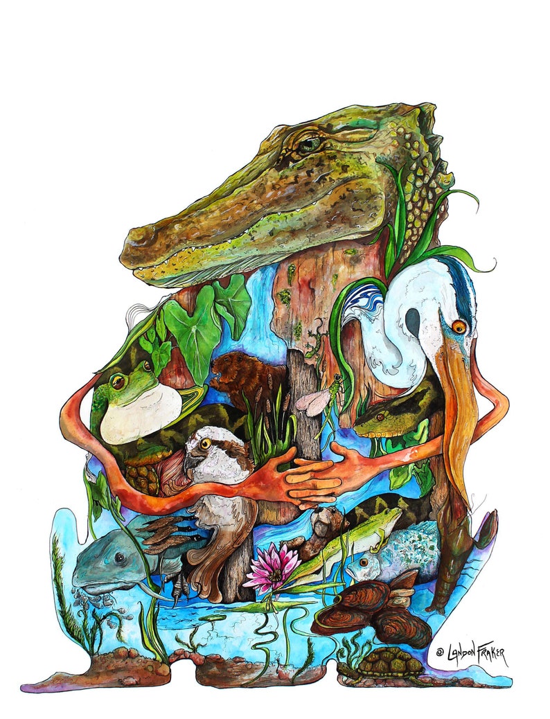 Alligator With Freshwater Ecosystem, Wildlife Poster, Plant Poster ...