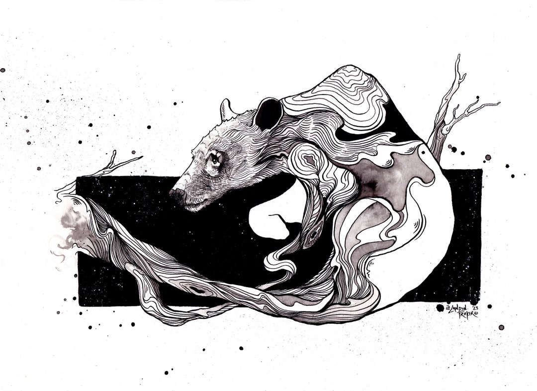 BEAR Fine Art Print - Animal Art - Pen and Ink Bear Illustration ...