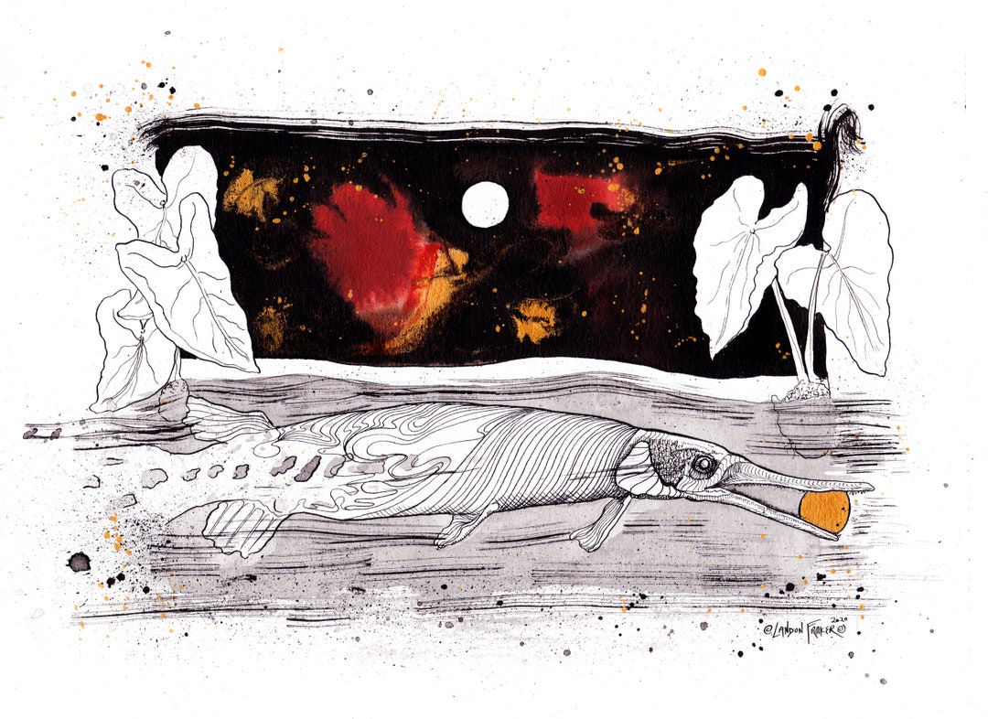 Alligator Gar Fish, Fine Art Print, Gift for Fisherman, Freshwater ...