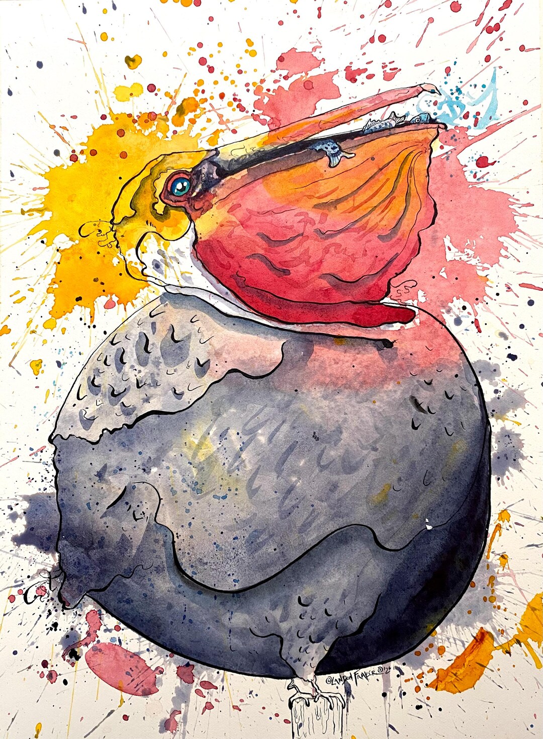 Fat Pelican Print – Watercolor and Ink Bird Art by Landon Fraker - Etsy
