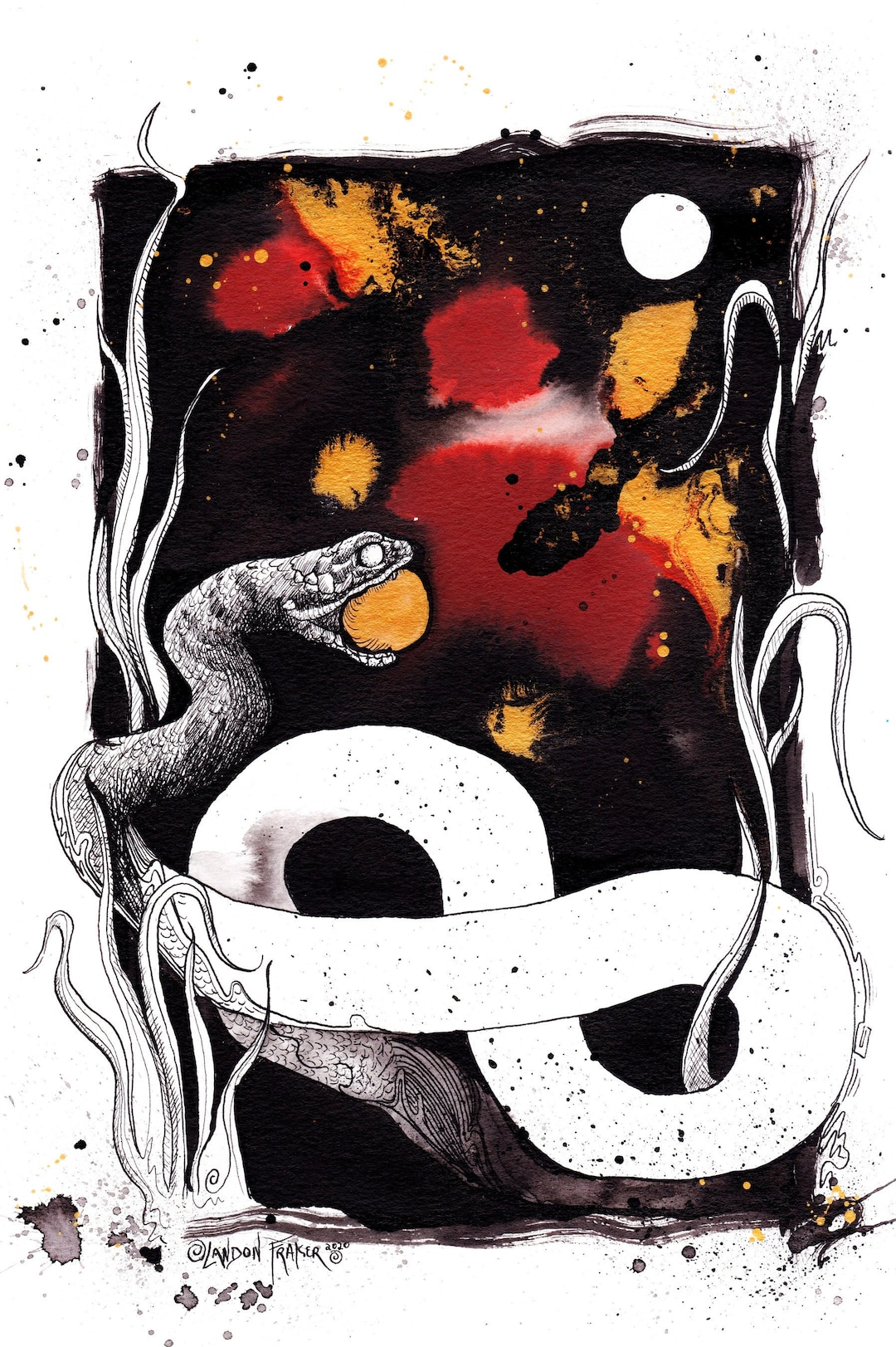 Black Racer SNAKE & Native Grasses, INKTOBER Illustration by Landon ...