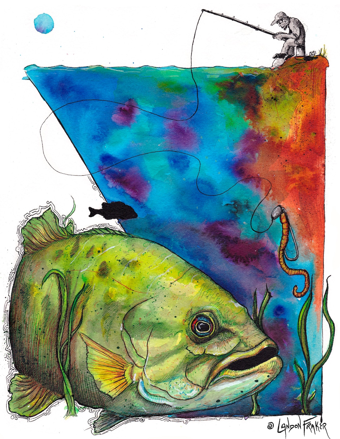 Freshwater Fish Illustration - Fine Art Print - Fishing Gift ...
