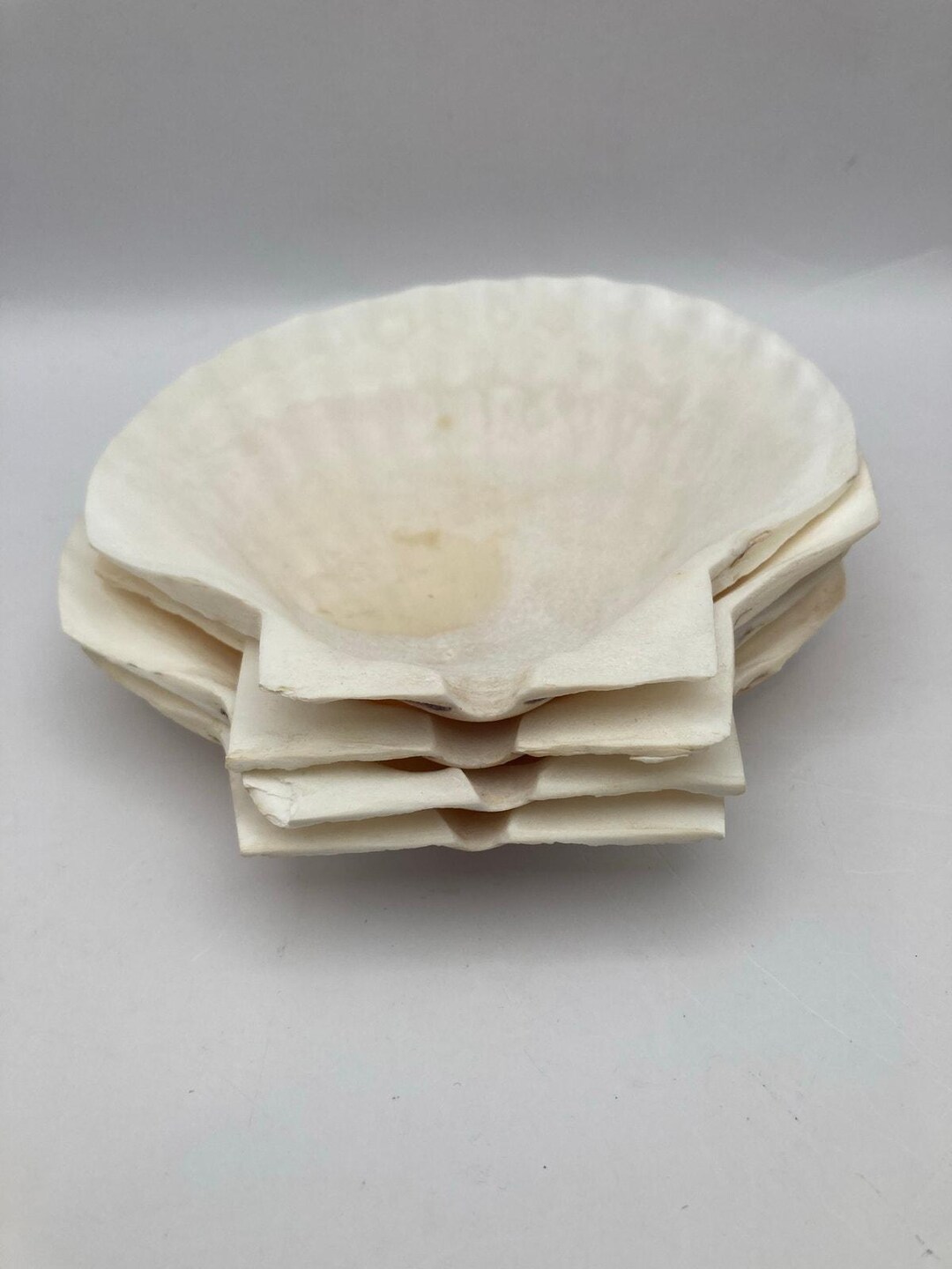 Collectible Clam Shell Dishes: Seaweed Salad Bowls With Chopstick Notch ...