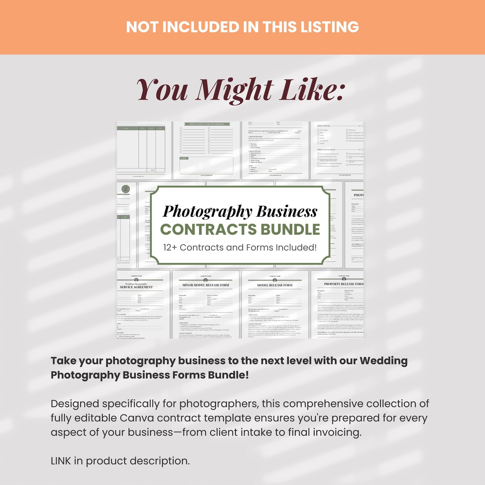Mini Sessions Contract Template Canva Mini Sessions Photography Client ...