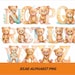 Tedy Bear Alphabet Png Font Baby Bear Letters Png Watercolor Tedy Font ...