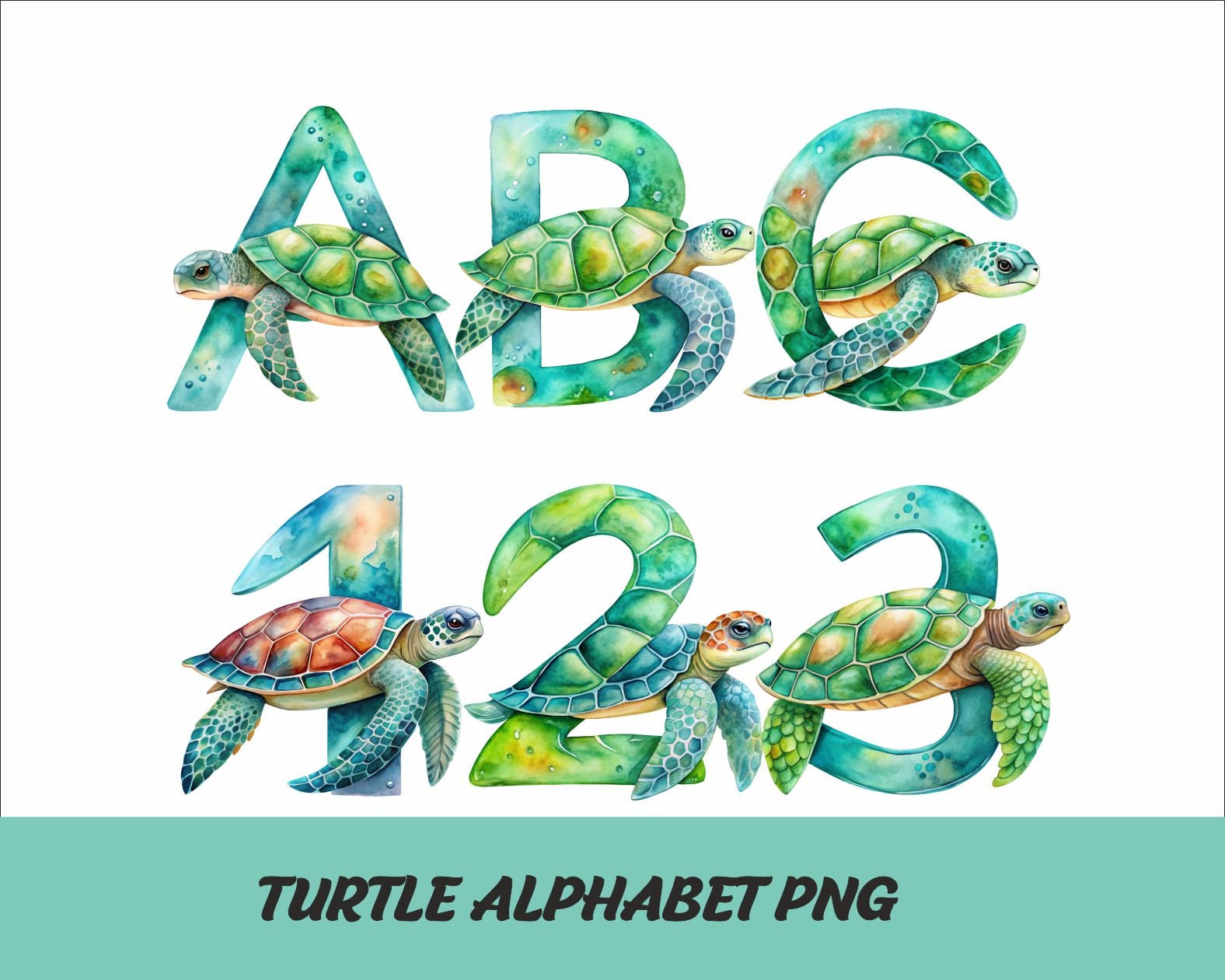 Turtle Alphabet Png Font Baby Turtle Letters Png Caretta Turtle Font ...