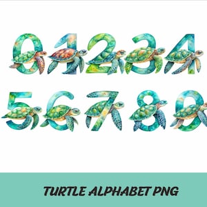 Turtle Alphabet Png Font Baby Turtle Letters Png Caretta Turtle Font ...