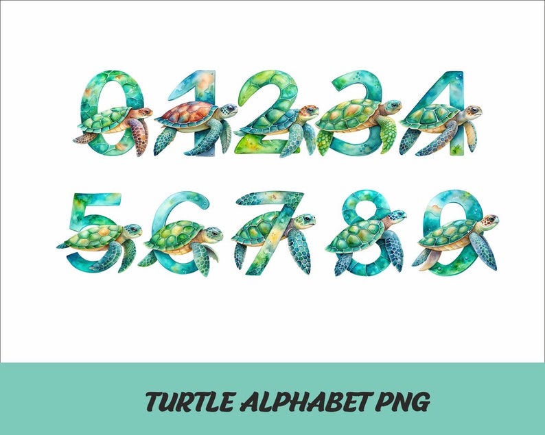 Turtle Alphabet Png Font Baby Turtle Letters Png Caretta Turtle Font ...