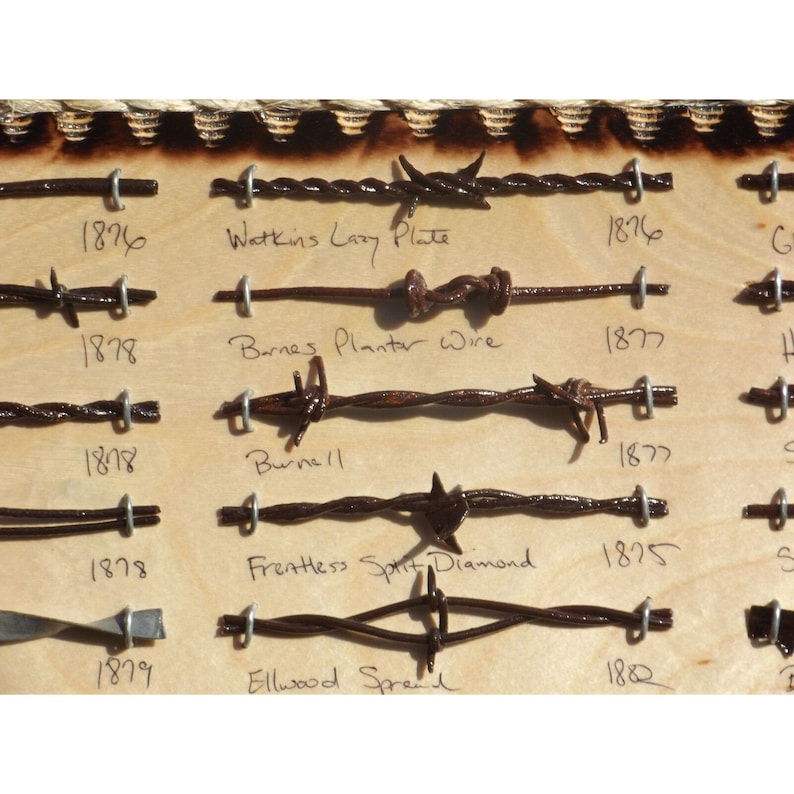 Antique Barbed Wire Display 27 Cuts Authentic Barbwire Collection - Etsy