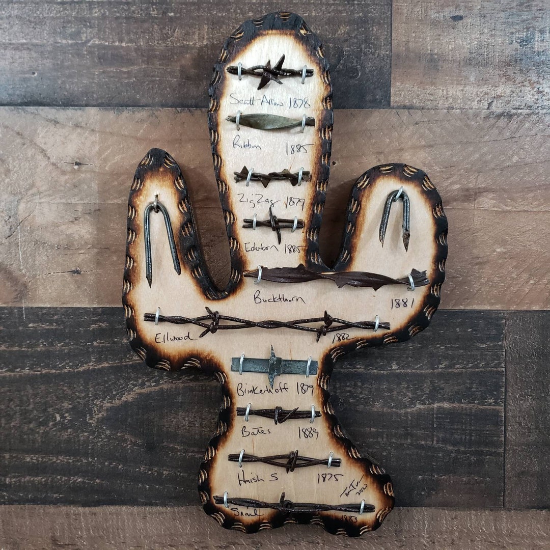 Antique Barbed Wire Display Authentic Barbwire Collection Shape of ...