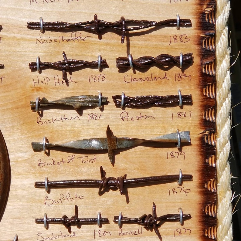 Antique Barbed Wire Display 50 Cuts Authentic Barbwire From the Old ...