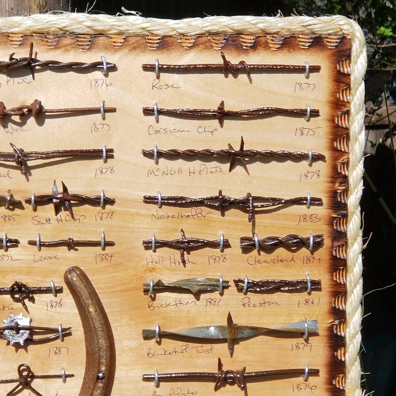 Antique Barbed Wire Display 50 Cuts Authentic Barbwire From the Old ...