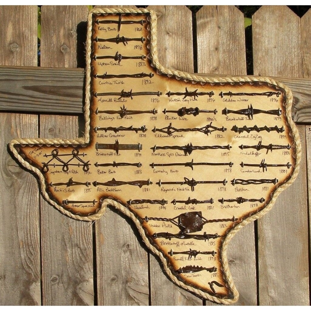 Large Antique Barbed Wire Display TEXAS 31 Cuts of Authentic Barbwire ...