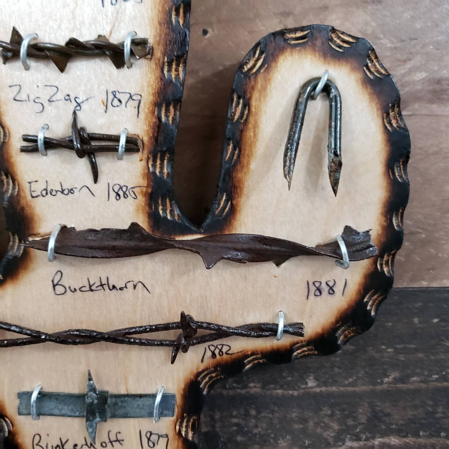 Antique Barbed Wire Display Authentic Barbwire Collection Shape of ...