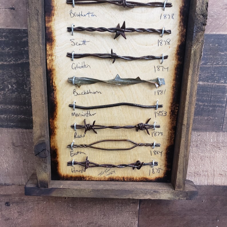 Antique Barbed Wire Display Authentic Barbwire Collection Barn Wood ...