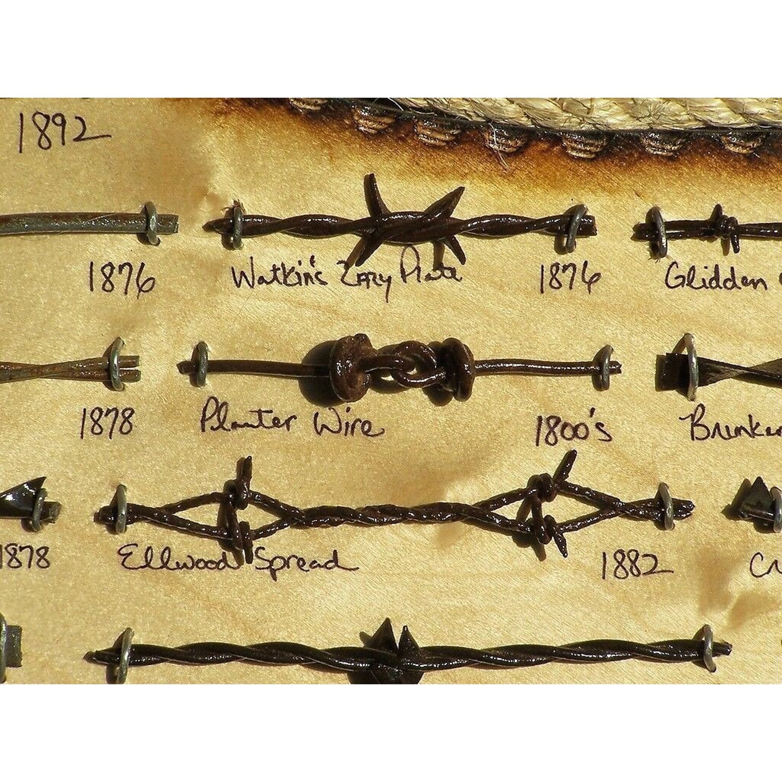 Large Antique Barbed Wire Display TEXAS 31 Cuts of Authentic Barbwire ...