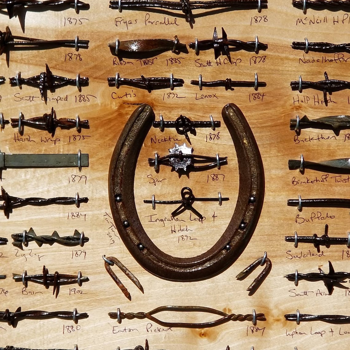 Antique Barbed Wire Display 50 cuts Authentic Barbwire from | Etsy