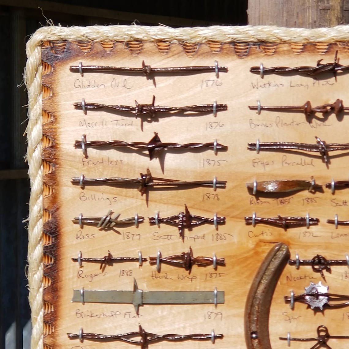 Antique Barbed Wire Display 50 Cuts Authentic Barbwire From the Old ...